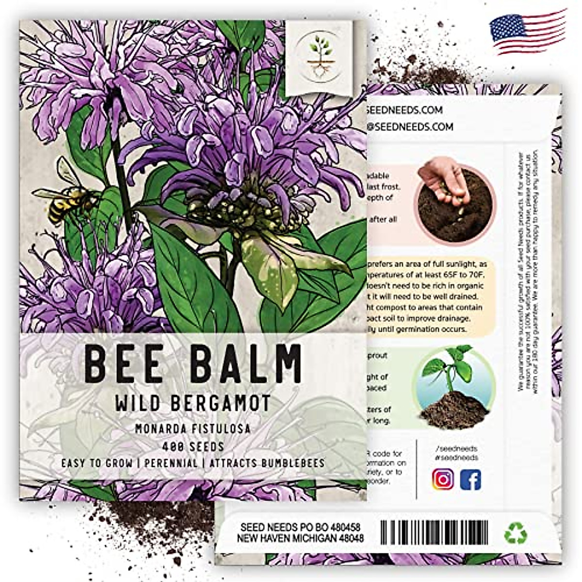 Seed Needs, Wild Bergamot Bee Balm Seeds for Planting (Monarda fistulosa) Heirloom & Open Pollinated, Attracts Honeybees, Bumblebees & Butterflies (2 Pack)