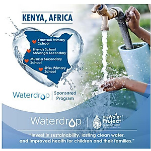 Waterdrop Drinking Water Faucet, Reverse Osmosis Faucet, RO Faucet, Filtered Water Faucet, Water Dispenser Faucet, Water Filter Faucet for Kitchen Sink, Beverage Faucet, Stainless Steel, Lead-Free