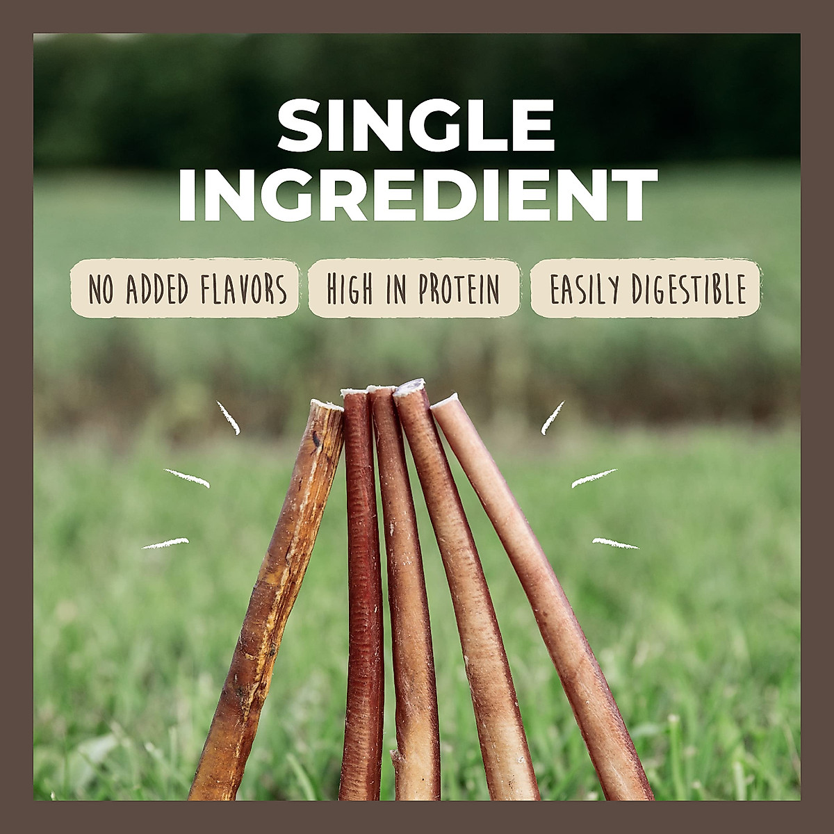 Mighty Paw Naturals Bully Sticks - All-Natural Protein-Rich Dog Chews from Grass-Fed Beef. Single-Ingredient Pet Treat for Dental Health. Keeps Chewers Busy - Bully Stick - Dental Chew Dog - Dog Stick