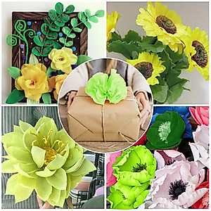 8 Rolls Crepe Paper Rolls, 10 x 98Inch 4 Colors Wide Crepe Paper Sheets with Floral Stem Wire and Green Floral Tapes for DIY Gift Wrapping Paper Crafts Birthday Wedding Holiday Paper Flower (Green)