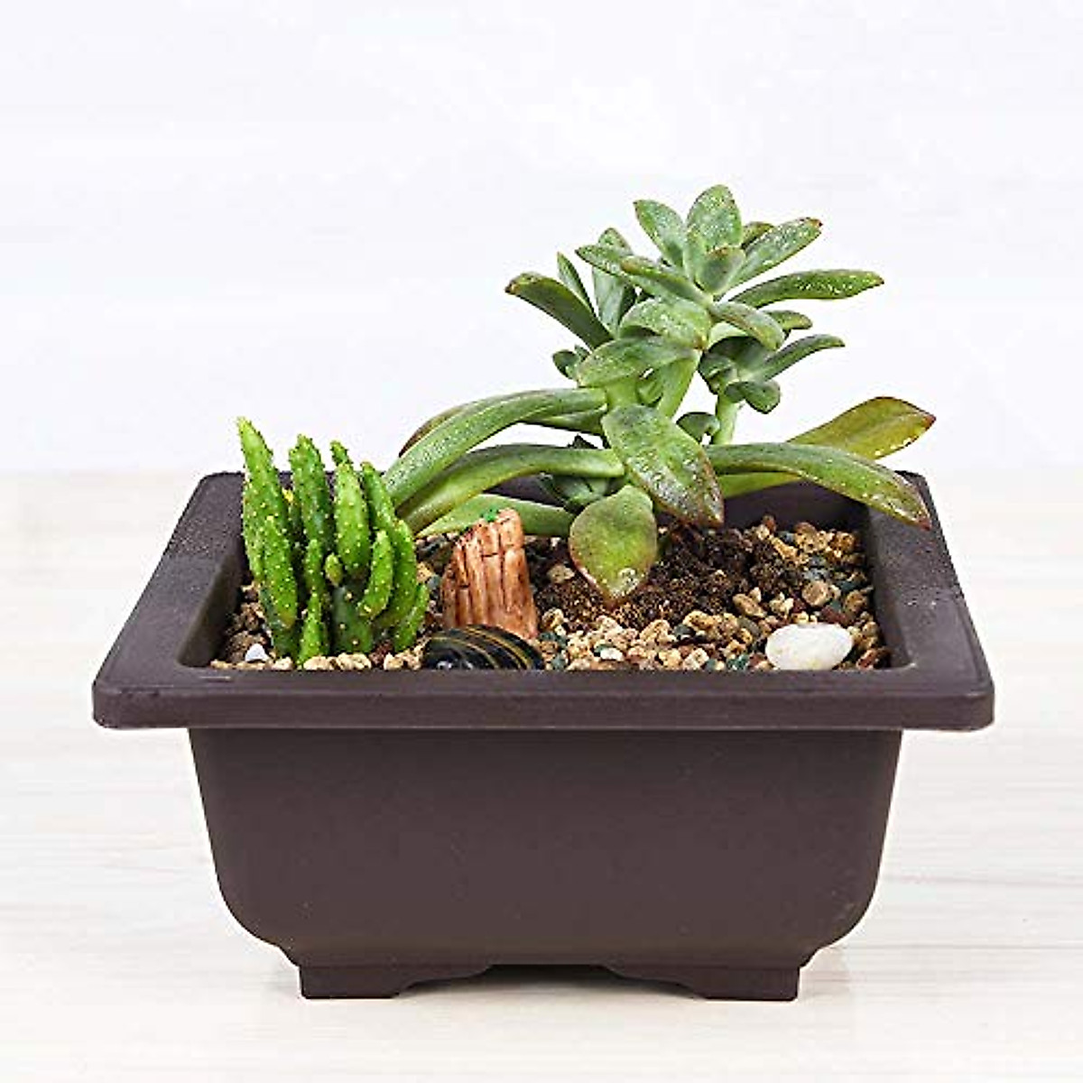 MNTT Plant Pots,Modern Decorative Retro Balcony Succulents Squar Rectangle for Nursery Garden Supplies Bonsai Planters(Rectangle L)