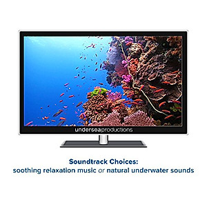 Reefscapes: Nature's Aquarium DVD, nature video of tropical fish and coral reefs filmed in the ocean, for relaxation and ambience