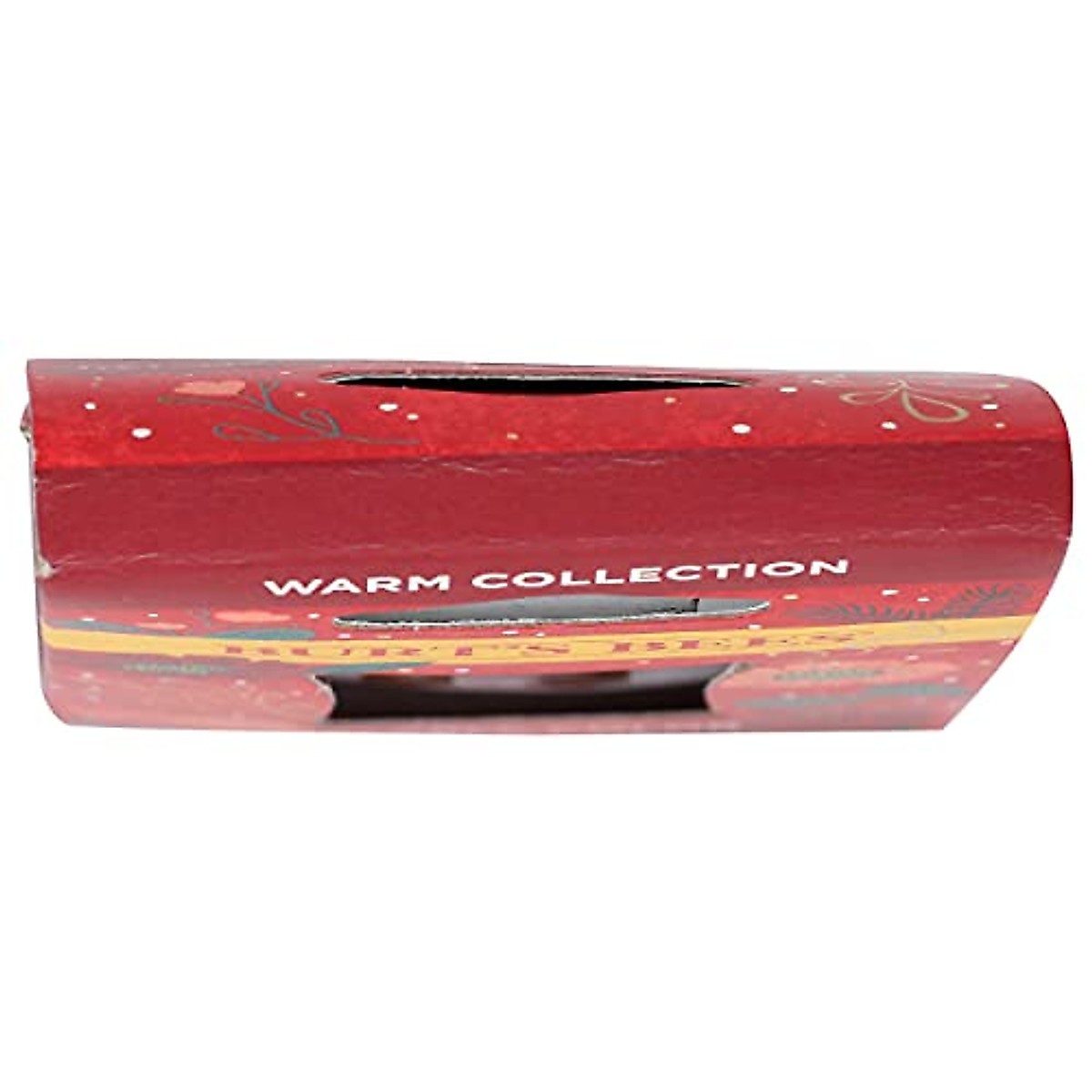 Burts Bees Warm Kissable Color Gift Set, 1 EA