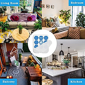 20 Pack Refills Glue Boards Compatible with Safer Home Indoor Fly Trap Refill Glue Cards for Dyna Trap Mosquito Trap DT3005W Dot SH502 Plug-in Indoor Insect Trap Fruit Fly Trap Replacement Glue Cards