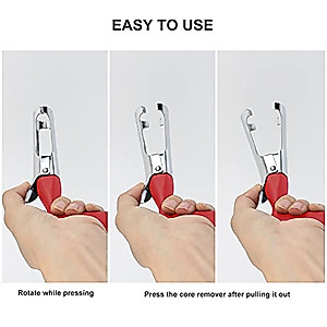 KUFUNG Apple Corer - Easy to Use Durable Apple Corer Remover for Pears, Bell Peppers, Fuji, Honeycrisp, Gala and Pink Lady Apples - Stainless Steel Best Kitchen Gadgets Cupcake Corer (M, Red)