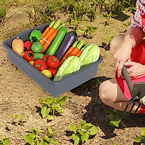 Morcte 12-Pack 13 L Commercial Bus Box, Plastic Bus Tub/Wash Basin, Gray