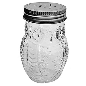 Circleware Elegant Owl Shaped Glass Mason Salt and Pepper Shakers with Metal Lids, Perfect for Himalayan Seasoning Herbs Spices, 2-Piece Set