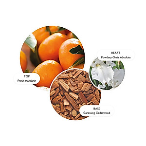 Molton Brown Suede Orris Bath & Shower Gel 10 fl. oz.