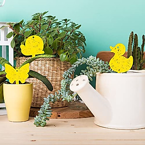 Gideal 12-Pack Dual-Sided Yellow Sticky Traps for Indoor/Outdoor Use, Gnat Trap for Flying Plant Insect Such as Fungus Gnats, Whiteflies, Aphids, Fruit Fly, Leafminers, etc - Cute Shapes