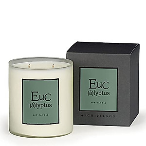 Archipelago Botanicals Eucalyptus Boxed Candle | Wild Eucalyptus, Palm Leaf and Musk | Clean Soy Wax Blend Burns 90 Hours (14 oz)
