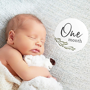 Baby Milestone Signs/Greenery Monthly Milestones/Botanical Infant Photo Prop