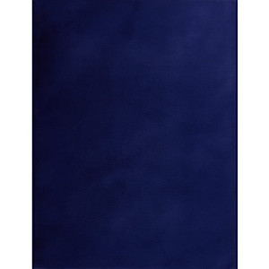 Petfu Luxury Faux Chinchilla Fur Rectangular Area Rug Furry Rug Polyester Rug Faux Fur Shag Rug for Living Room Bedroom Nursery Dorm,118" L x 79" W,Navy Blue