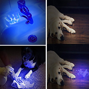 Optimal Shop 6 Pack UV Blacklight 12 LED Flashlight Torch Light Outdoors Etc(6 Pack 12 LED)