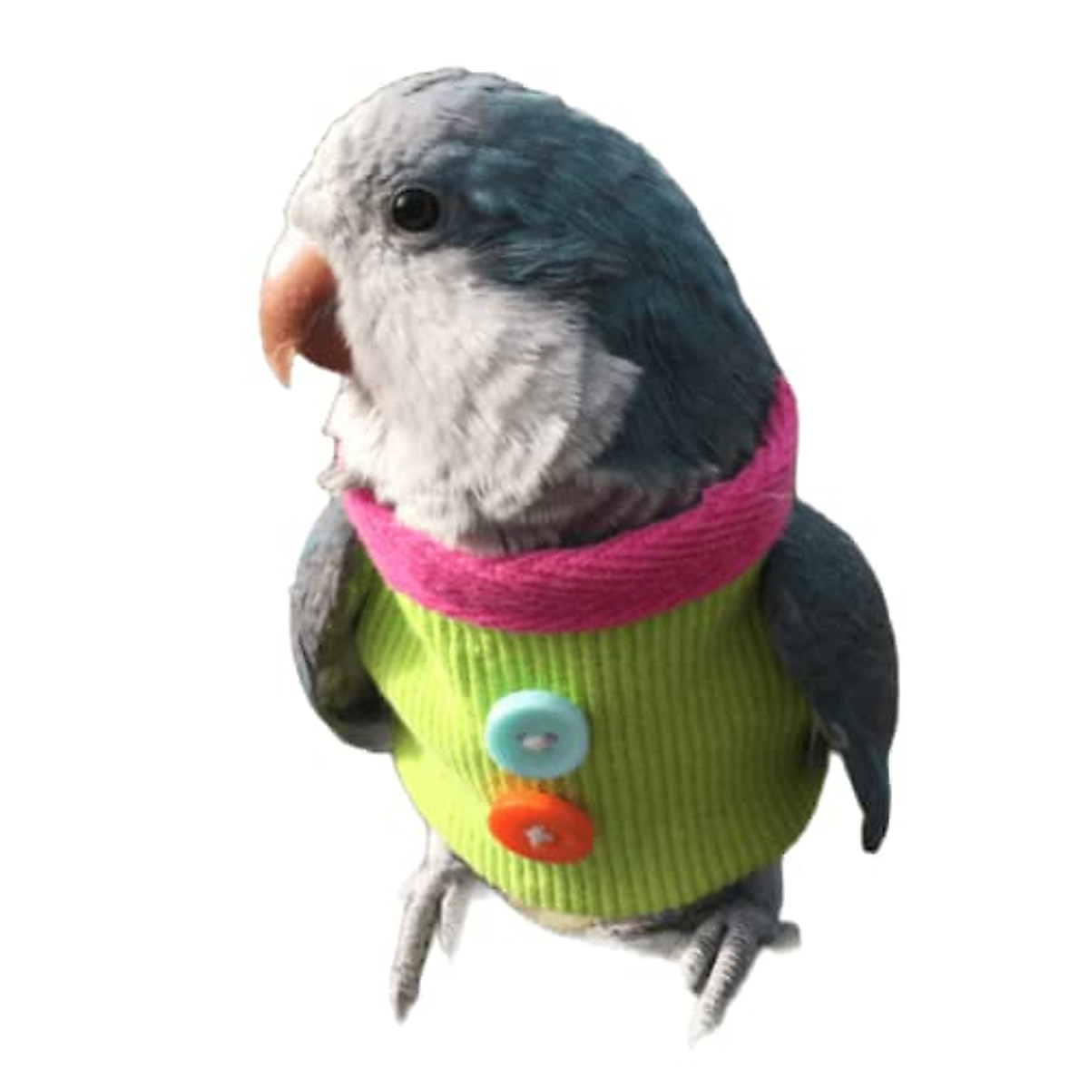 Barn Eleven Parrot Bird Supplies, Light Flying Clothes, Suitable for All Seasons Warm and Comfortable for Small Medium Large Bird Green Cheek Parrot Mynah Senegal Parrot Mini Macaw (Small,Green)