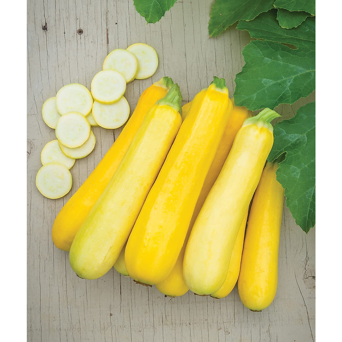 Burpee Butterstick Zucchini Summer Squash Seeds 25 seeds