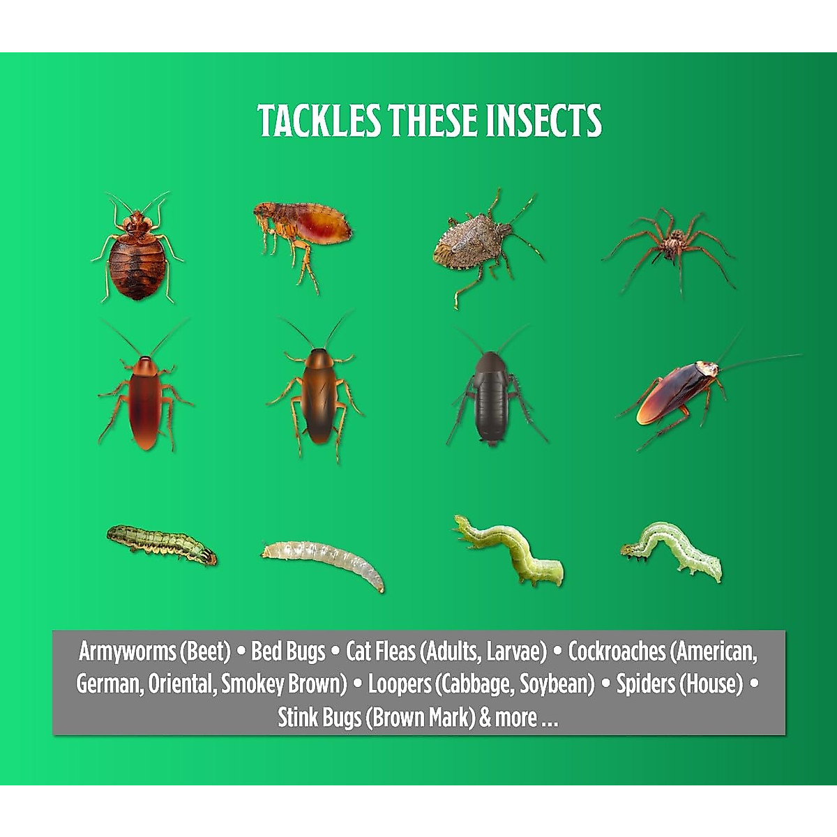 Grandpa Gus's Advanced Natural Pest Control Spray with Clove & Cottonseed Oil - Indoor & Outdoor Insect Killer for Spiders, Ants, Roaches, Earwigs, Bed Bugs & More, Pet-Friendly, 16 fl oz