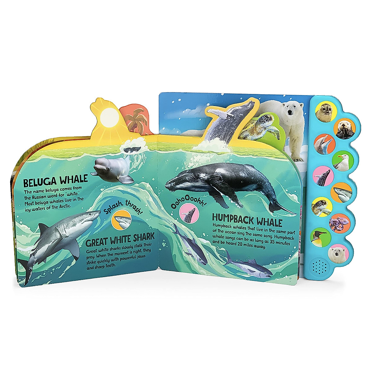 Swim and Splash in the Sea! Let's Listen to the Ocean - 10-Button Children's Sound Book, Ages 2-7