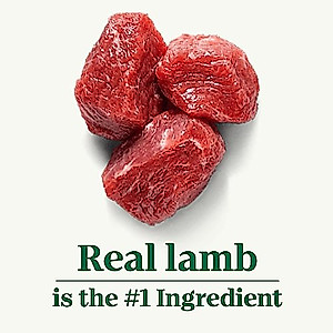 NUTRO NATURAL CHOICE Adult Dry Dog Food, Lamb & Brown Rice Recipe Dog Kibble, 5 lb. Bag