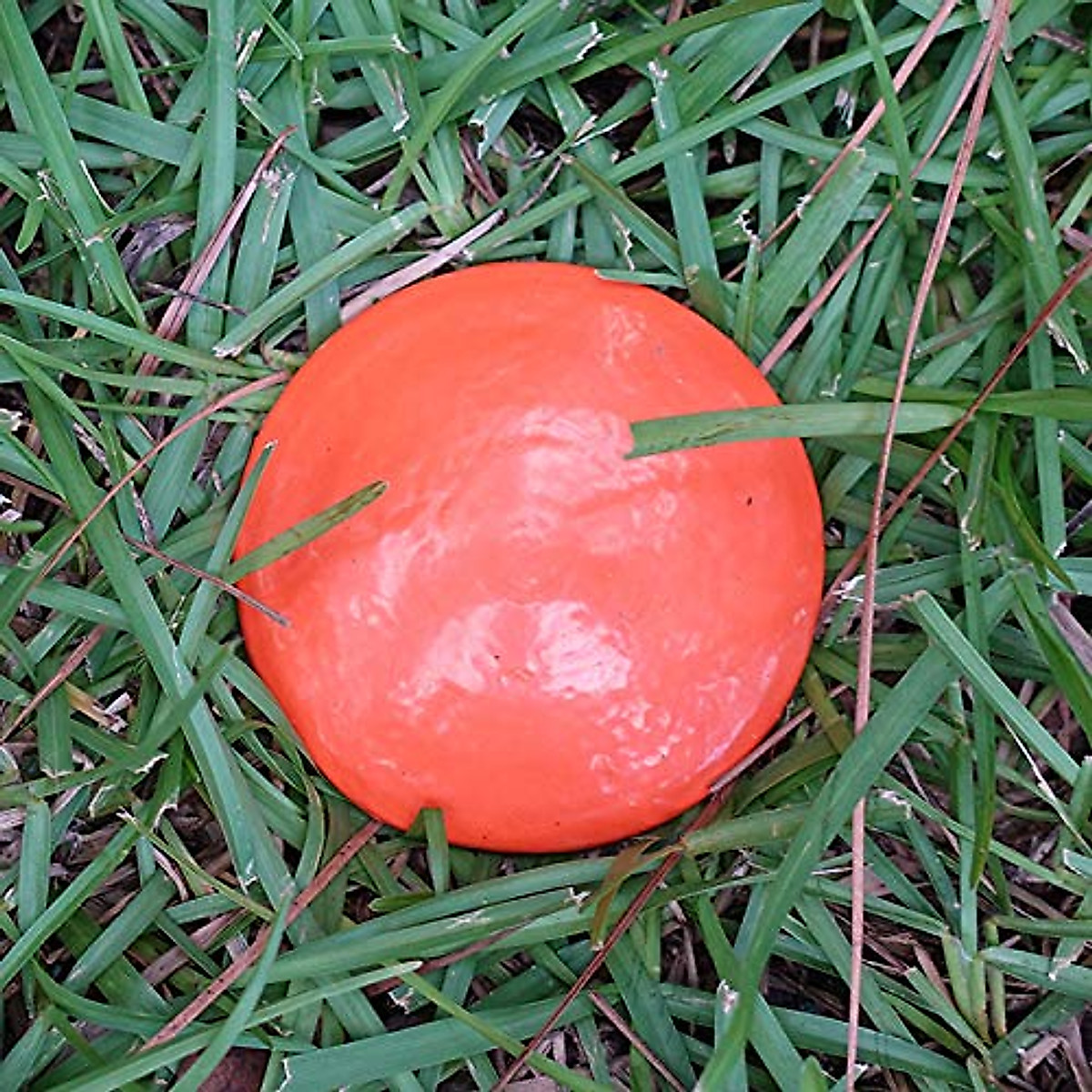 Survey Marker - 4 Pack - Low Profile Survey Stakes (Hi-Vis Orange)