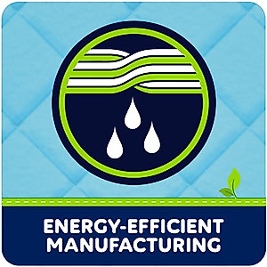 Quilted Northern Ultra Soft & Strong Toilet Paper, Double Rolls, 2-ply, 12 Count (Pack of 1)