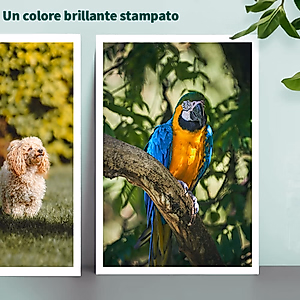 PFKink Remanufactured 63 Black Ink Cartridge Replacement for HP 63 63XL Work with Envy 4520 4512 4516 Officejet 5252 3830 3833 4655 5255 Deskjet 1112 2130 3630 3634 Printer (2 Black)