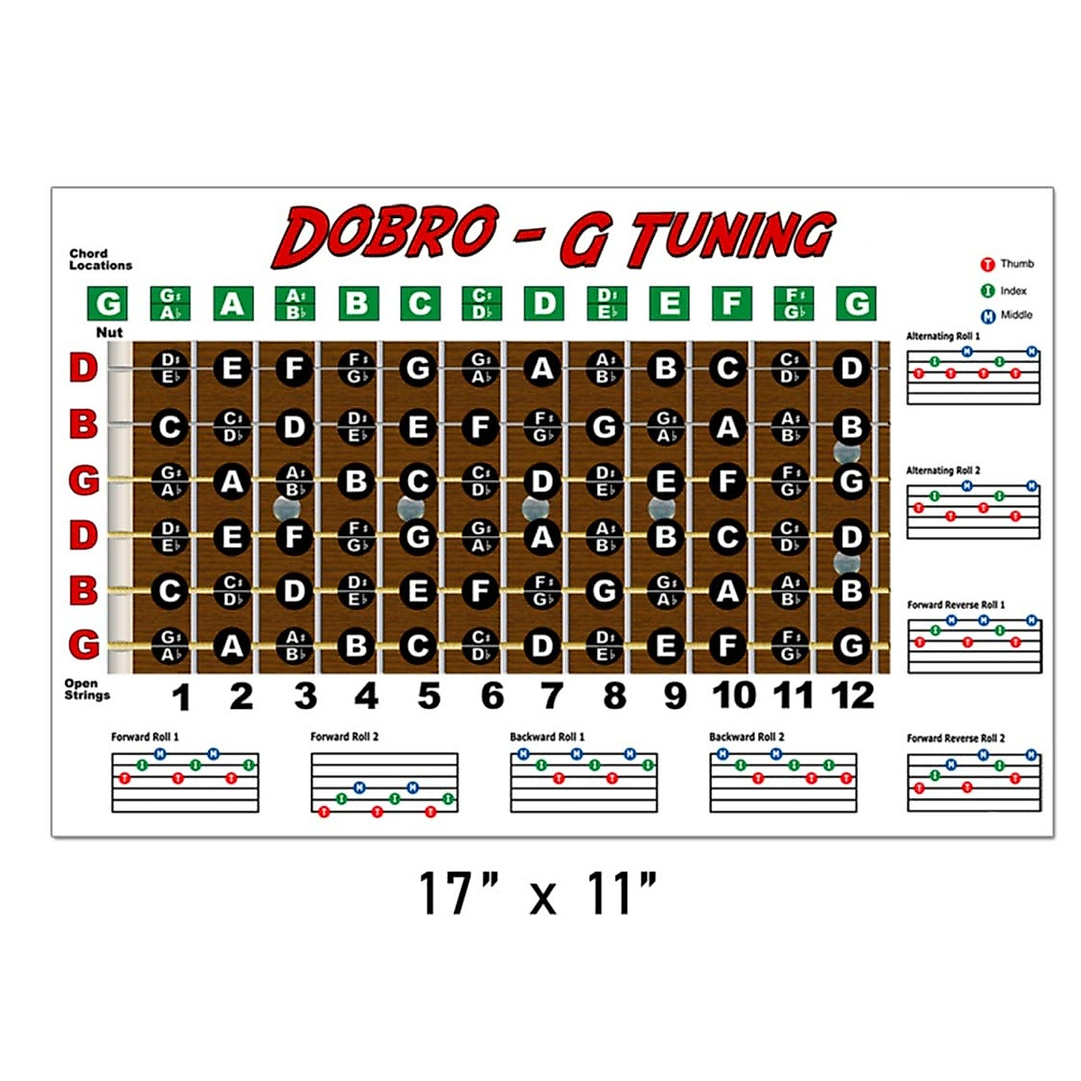 Dobro G Tuning Resonator Guitar Fretboard Note & Rolls Chart - Beginners & Intermediate Instructional Easy Poster Chords 11x17 | A New Song Music