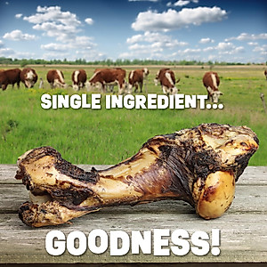 PUPDAWGS Dog-Bones-for-Aggressive-Chewers | 11-13" Hickory Smoked Flavor Beef Humerus Bone | Dog-Bones-for-Large-Dog | All Natural Dog Bone Treats Made in The USA (Single Bone)