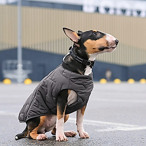 Bonne et Filou Sustainable Dog Jacket Vest Made in Ukraine with Premium Recycled Materials - Lightweight Warm Waterproof Windproof Winter Dog Coat Outfit for Cold Weather (X-Small-2, Grey)