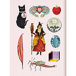 The Antiquarian Sticker Book: Bibliophilia (The Antiquarian Sticker Book Series)