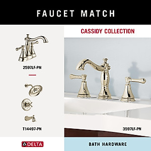 DELTA Cassidy, Robe Hook Polished Nickel Towel Holder, Bathroom Accessories, 79735-PN 3.88 x 2.50 x 3.88, 4.6 x 3.9 x 2.5 inches