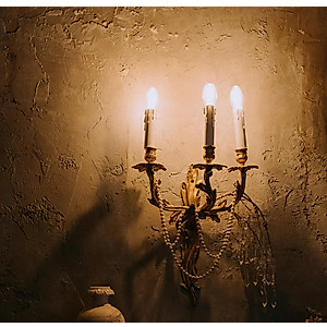 Iconikal 5-Watt C7 Night Light Candelabra Bulbs, Clear, 24-Count for Lamps Nightlights Lanterns String Lights