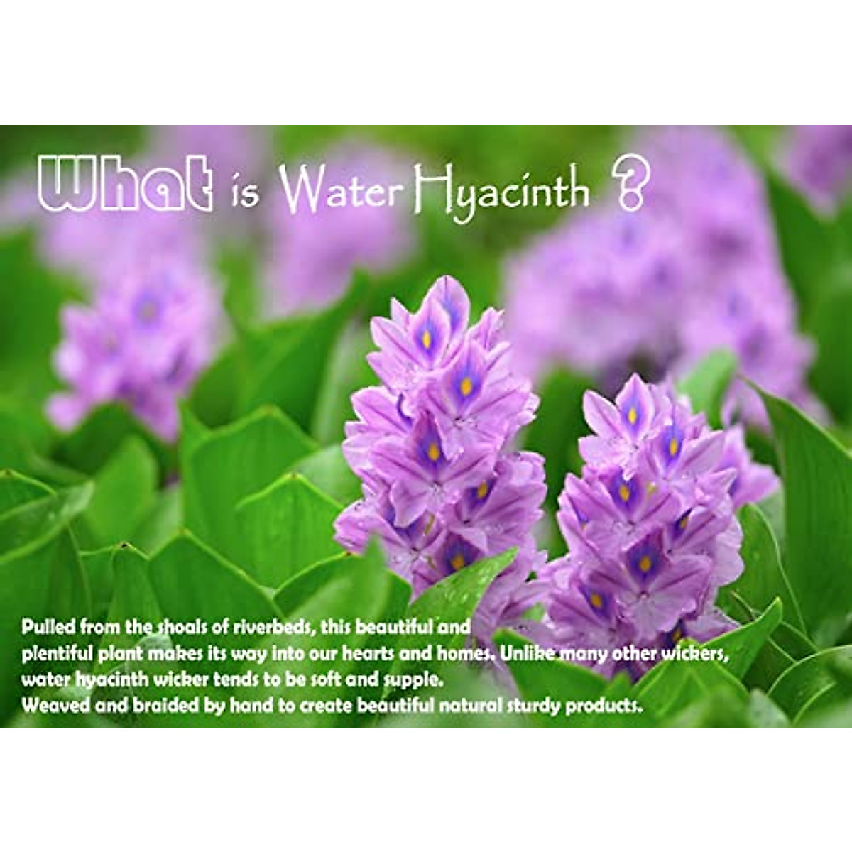 Three Compartment Basket made from Water Hyacinth - Made in Vietnam