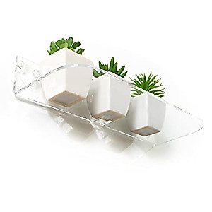 Jamborum Window Garden Double Ledge Acrylic with Suction Cups