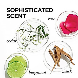 L'Oreal Paris EverPure Moisture Sulfate Free Shampoo and Conditioner with Rosemary Botanical, for Dry Hair, Color Treated Hair, 1 kit