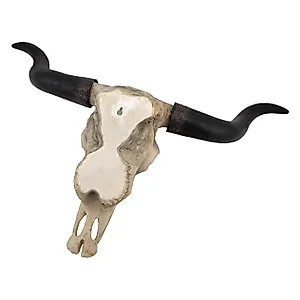 Long Horn Cow Skull Wall Hanging Longhorn Steer