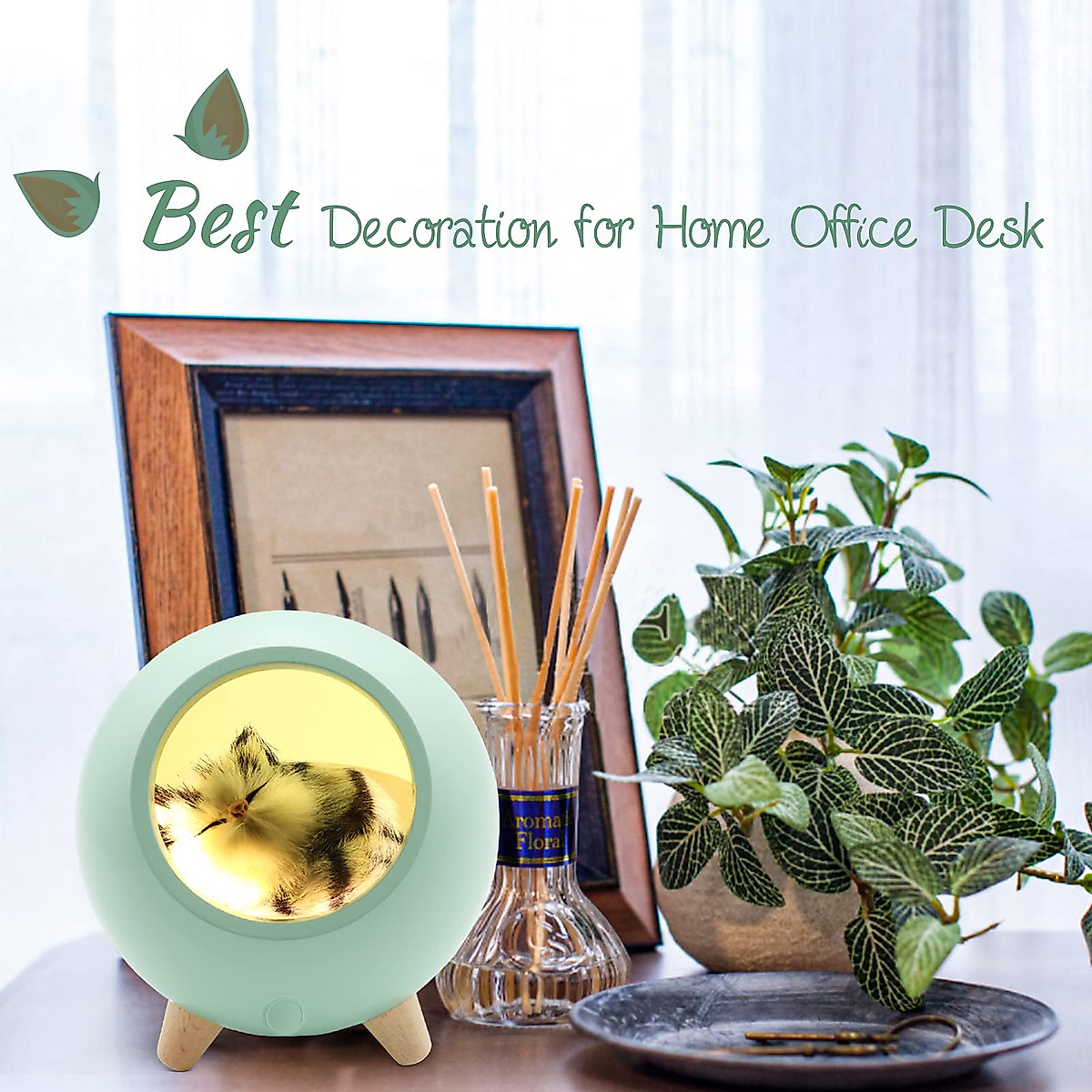 Vency Room Decor for Women, Cat Night Light for Bedroom, Cat Lover Gifts for Women Wife Mom Teen Girls, Cute Cat House Valentine Christmas Birthday Gifts (Green)