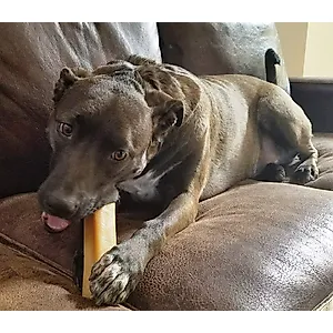 KATHMANDU'S - Authentic Himalayan Cheese Dog Chews - Large, 1-Count - for Improved Dental Hygiene & Protein-Rich Nutrition, No Preservatives