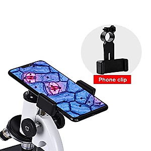 DLOETT 640X 1280X 2000X Biological Microscope Monocular Student Education LED Light Phone Holder Electronic Eyepiece (Color : OneColor, Size : Package3(40X-2000X))