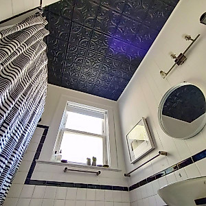 From Plain To Beautiful In Hours 148 Tiny Tulips PVC 2' x 2' Glue-up Ceiling Tile (Covers / 100 sq.ft), Black, 25 Piece