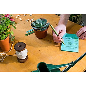 Post-it Notes, 4x6 in, 5 Pads, America's 1 Favorite Sticky Notes, Beachside Cafe Collection, Pastel Colors, Recyclable (660-5PK-AST)