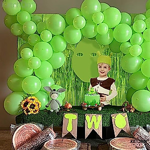 KatchOn, Sage Green Foil Fringe Curtain - XtraLarge 6.4x8 Feet Pack of 2, Green Backdrop | Light Green Foil Fringe Curtain, Green Birthday Decorations | Frog Birthday Decorations | Lime Green Backdrop