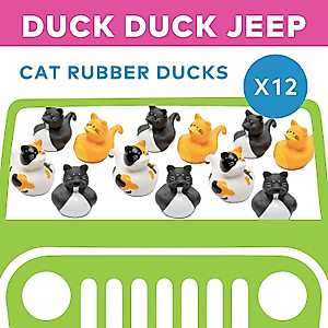 Fun Express 12 Pieces Vinyl Cat Rubber Duckies