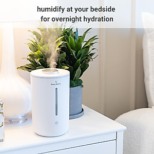 Hey Dewy Wellness Humidifier - for home, office, bathroom spa, or bedroom, with cool utrasonic mist hydration (Pearl)