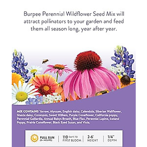 Burpee Wildflower 50,000 Bulk, 1 Bag | 18 Varieties of Non-GMO Flower Seeds Pollinator Garden, Perennial Mix