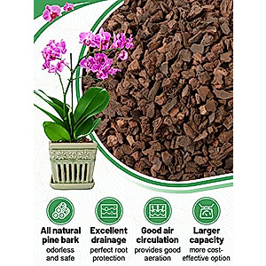 5 Quarts Orchid Potting Bark, Sun-Dried New Zealand Medium Organic Pine Wood Chip Barks for Orchids Mix Plant Compost, Natural Houseplant Mulch for Plant Root Development