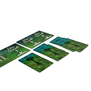 Weird City Games: Canopy, Card Game, Fast and Fun Gameplay, Features 25 Unique Species of Rainforest Animals and Plants, Solo or Multiplayer Option, For Ages 8 and up