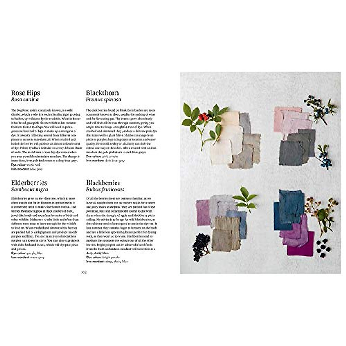 The Wild Dyer: A Maker's Guide to Natural Dyes with Projects to Create and Stitch