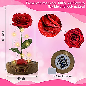 Refresh 2023 Beauty and The Beast Rose, Enchanted Red Silk Rose in Glass Dome with LED Light Romantic Rose Kit for Best Gifts Valentine's Day& Girlfriend& Wedding Anniversary& Birthday.