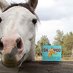 J·R·LIGGETT'S Horse Shampoo Bar Great for Sensitive Skin - Relieves Dry, Itchy Skin - Hypoallergenic and Biodegradable Formula – 100% Detergent-Free, 100% Ecologically Correct, Non-GMO, 3.5 oz.