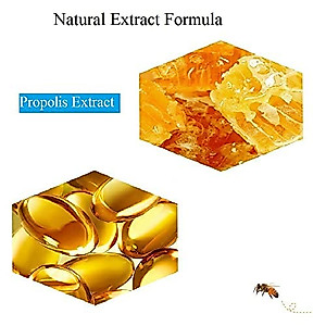 2PCS Bee Balm Lip Balm Honey Pot,Propolis Moisturizing Honey Lip Mask Lip Balm,Hydrating & Prevention Dry and Cracked Lip Scrubs Exfoliator